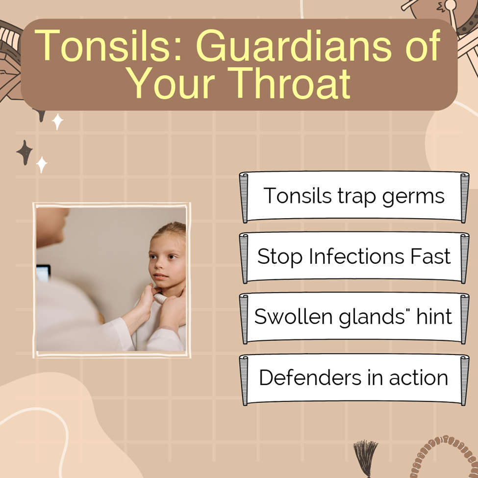 Understanding Tonsillitis: Why You Might Have a Swollen Gland on One ...