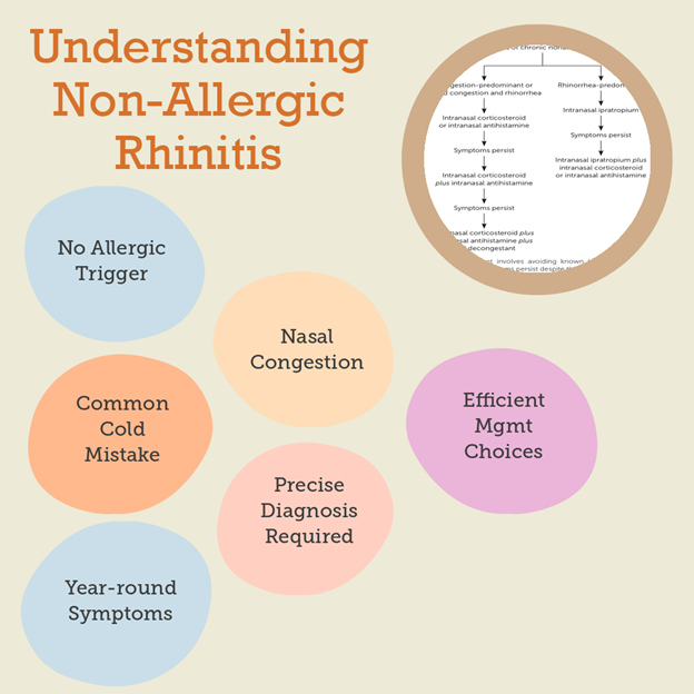 Understanding Non-Allergic Rhinitis: Symptoms, Causes, and Treatment ...